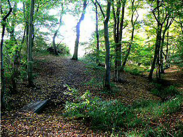 Biddenden Milleniun Field Gallery - Biddenden Kent Beautiful Village in ...